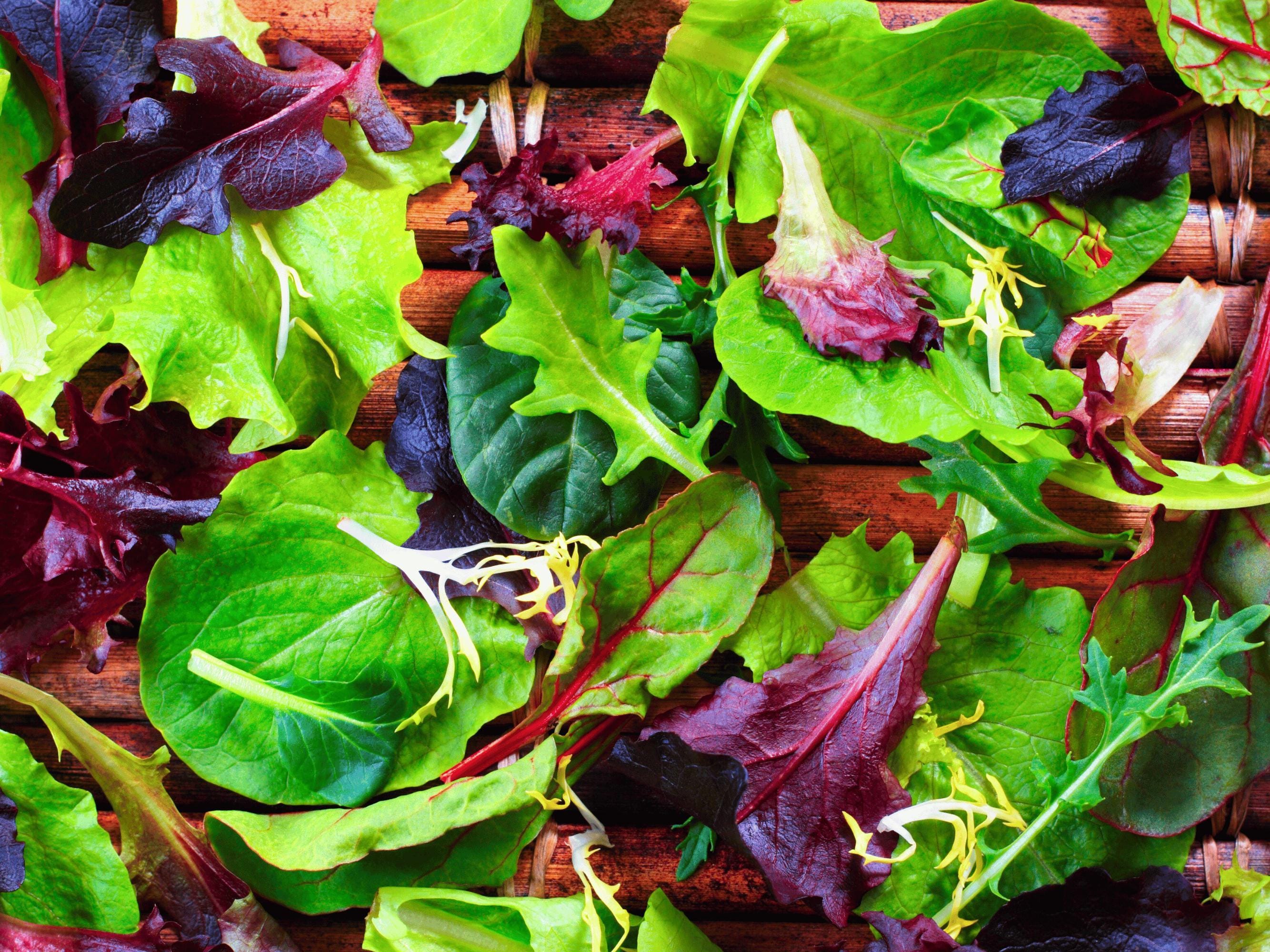 Spring & Fall Blend Heirloom Lettuce Seeds – Nimble NiteCap Heirloom ...