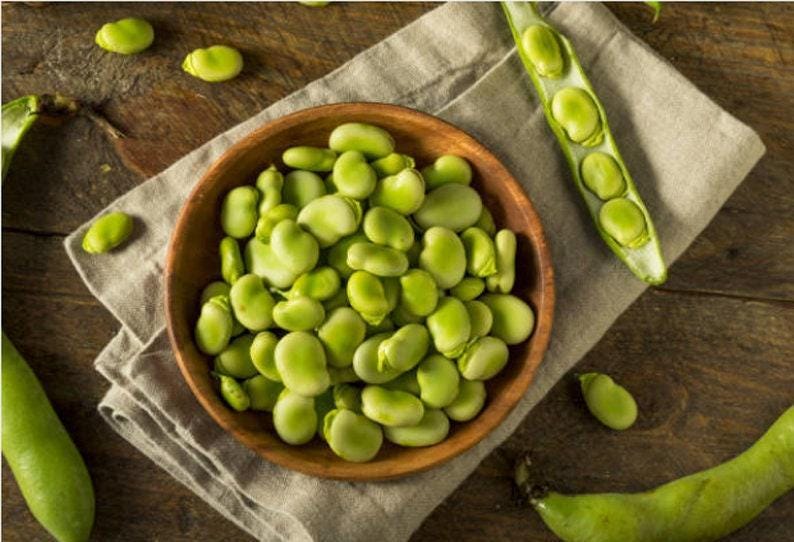 Windsor Fava Bean Heirloom Seeds – Nimble NiteCap Heirloom Seed Co
