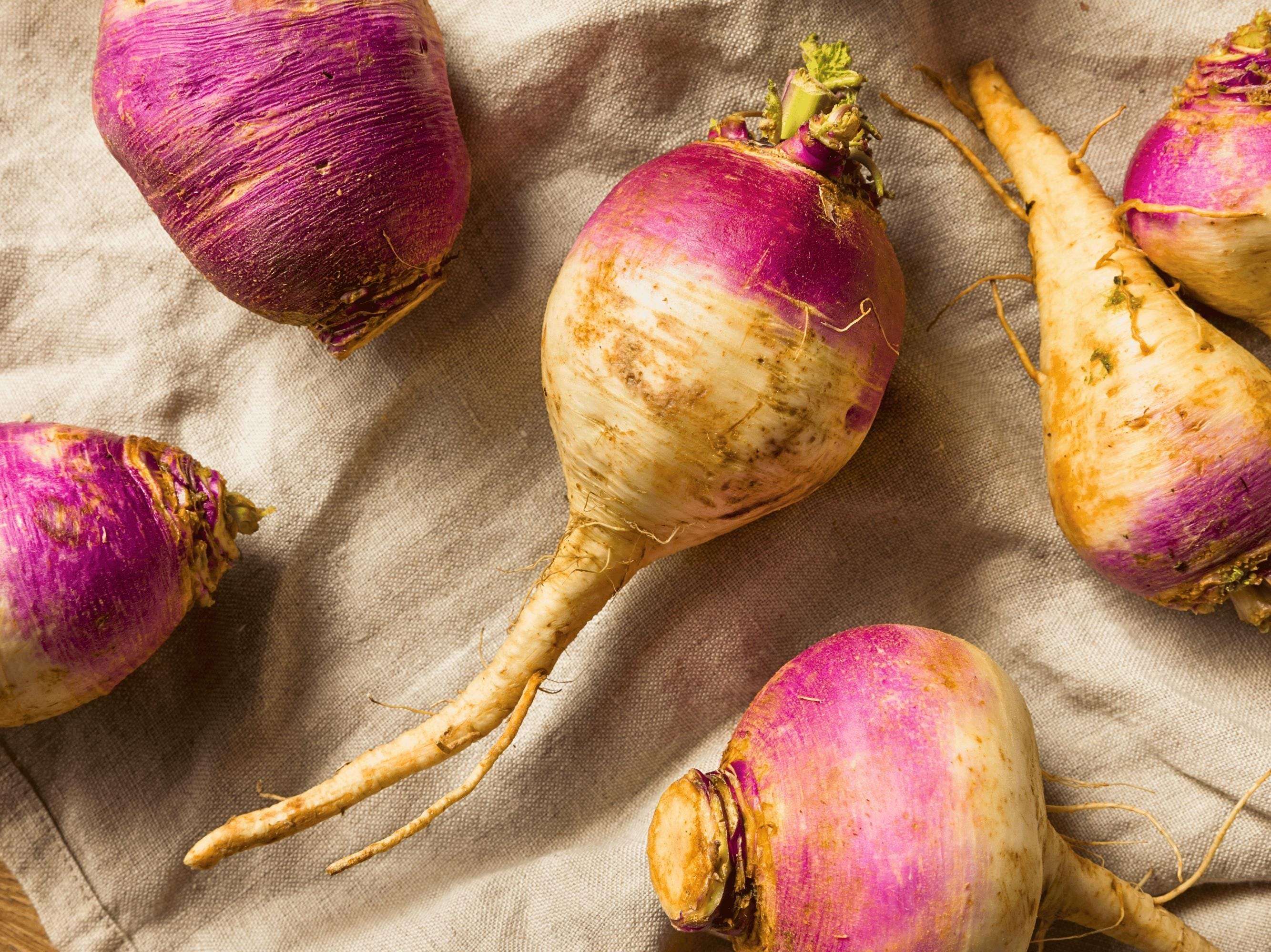 Purple Top Rutabaga Seeds - Nimble NiteCap Heirloom Co – Nimble NiteCap ...