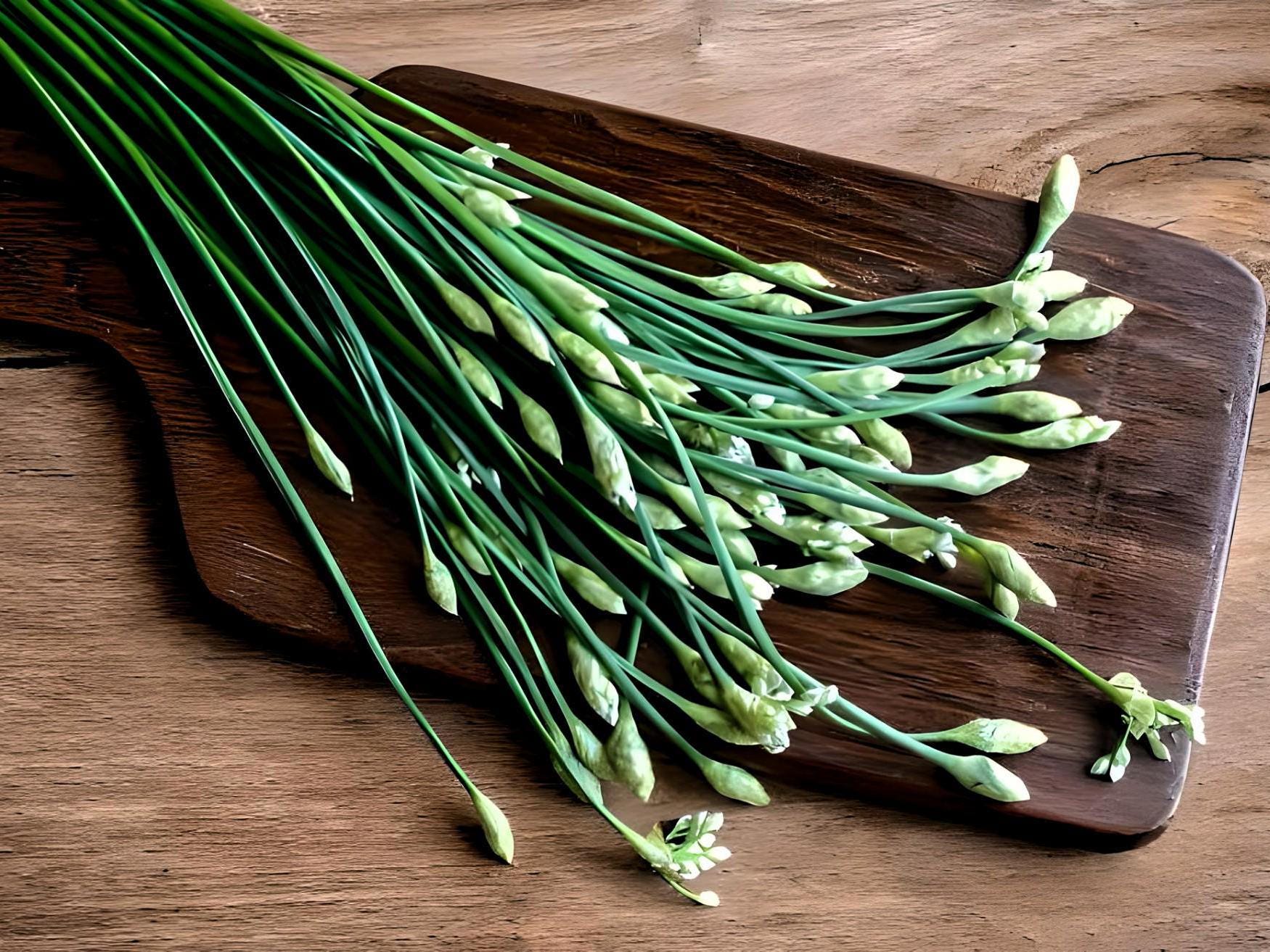 Garlic Chives Seeds | Heirloom Nimble NiteCap Brand – Nimble NiteCap ...