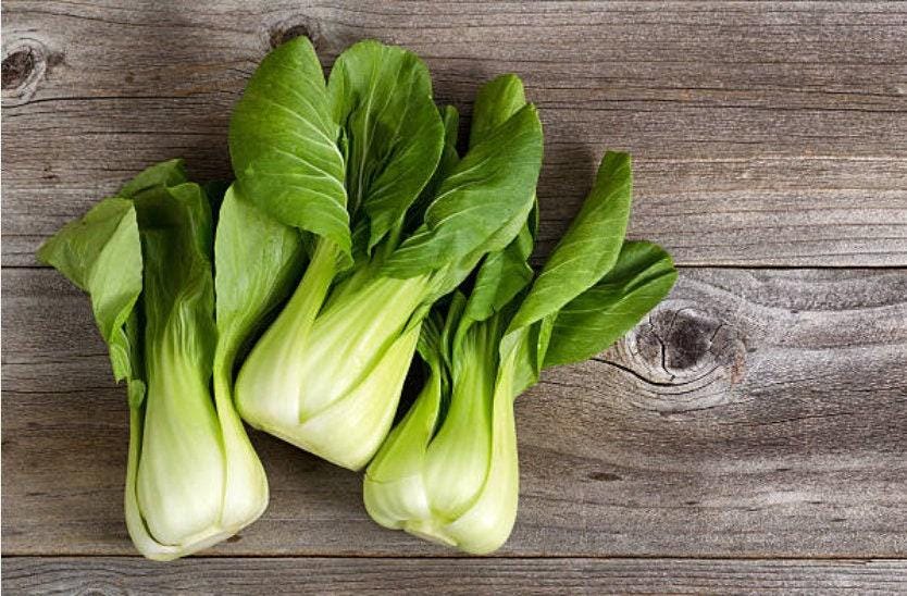Canton Pak Choi Heirloom Cabbage Seeds – Nimble NiteCap Heirloom Seed Co