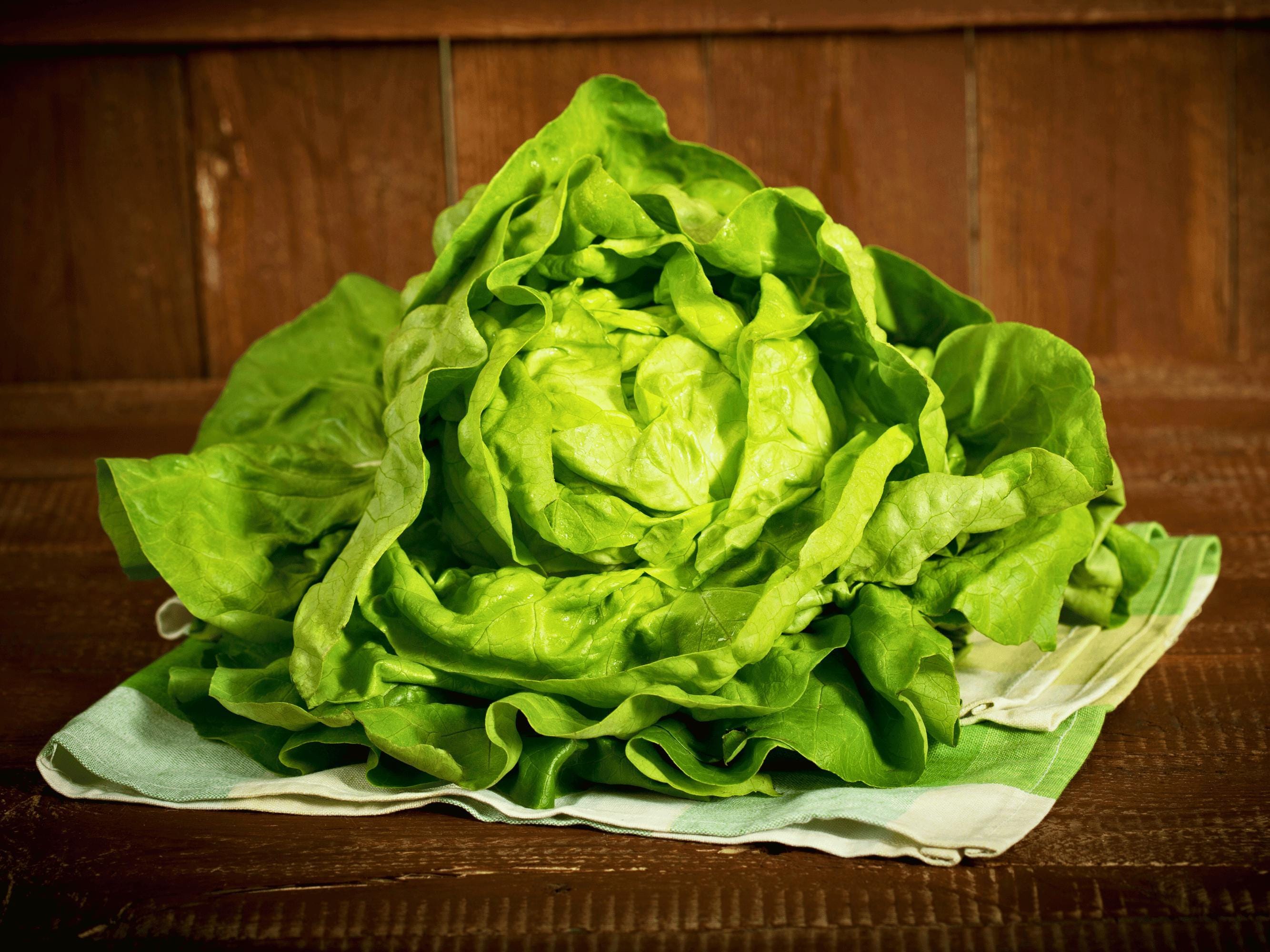 Buttercrunch Lettuce Seeds - Nimble NiteCap Heirloom Seed Co